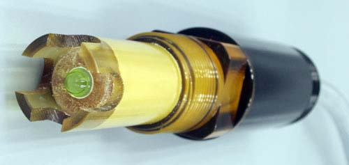 ZEUS pH & ORP Sensors for Heavy Industrial Severe Service